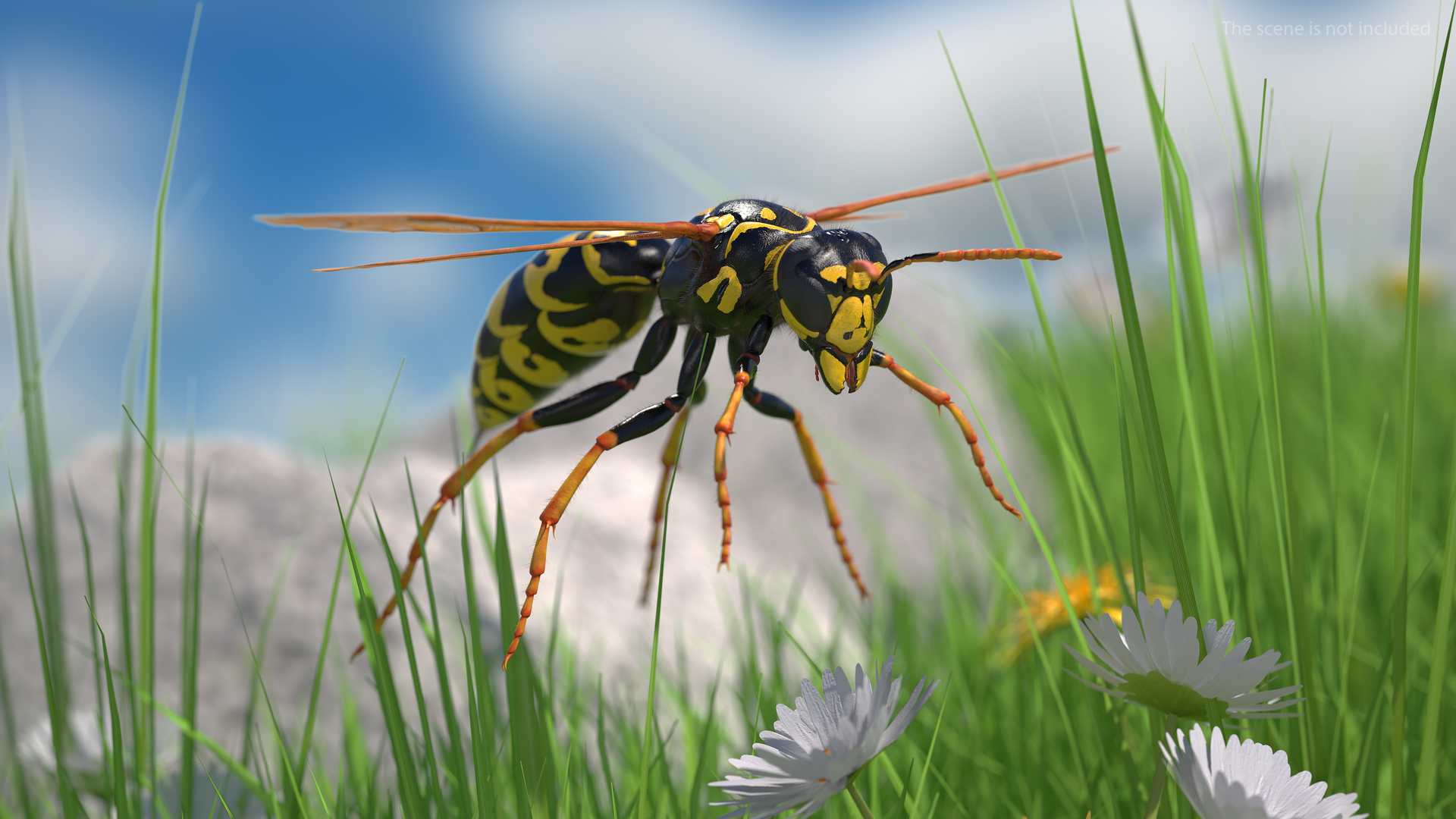 3D wasp fur rigged model - TurboSquid 1628202