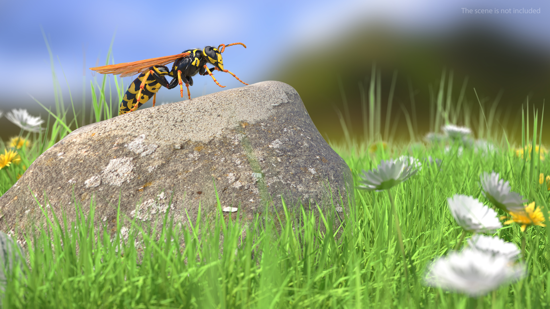 3D wasp fur rigged model - TurboSquid 1628202