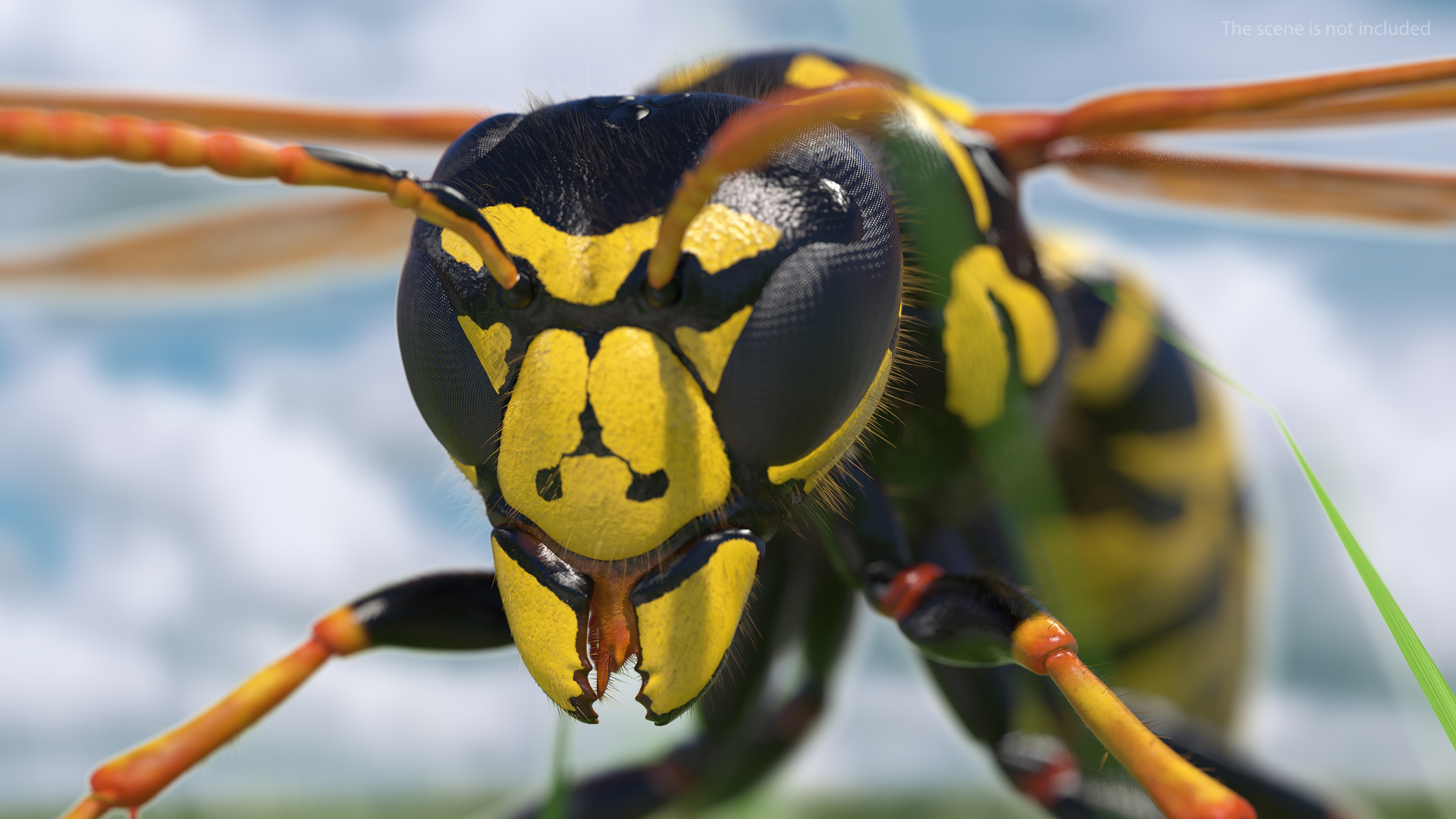 3D wasp fur rigged model - TurboSquid 1628202