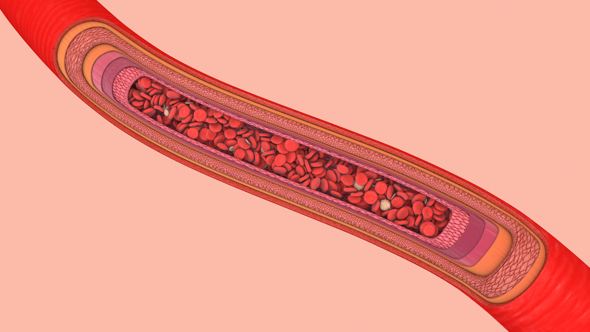 modèle 3D de Artery Structure - TurboSquid 1607504