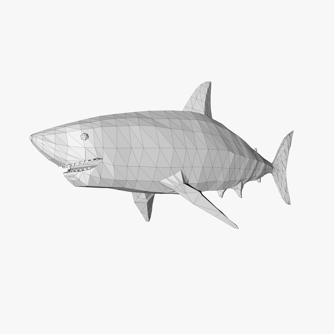 3D shark fish model - TurboSquid 1628414