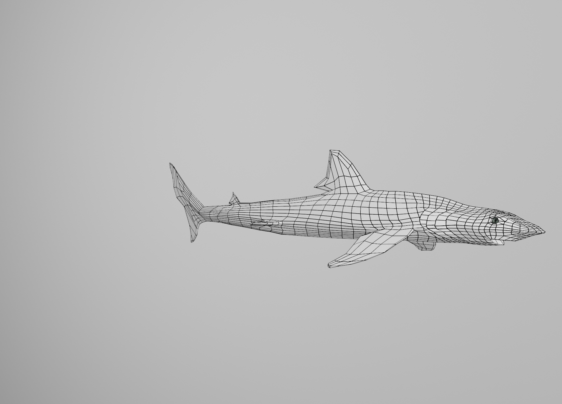 Rekin rekin Model 3D - TurboSquid 1628623