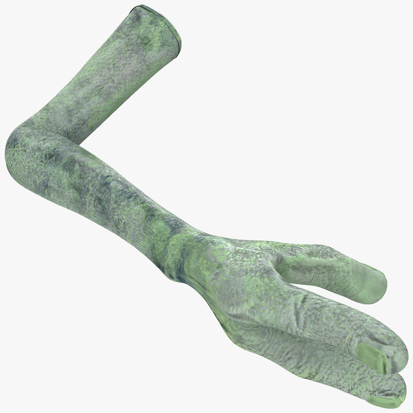 modèle 3D de Bras extraterrestre vert - TurboSquid 1628907