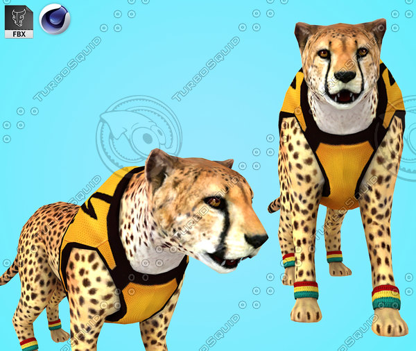 Cheetah 3D Models for Download | TurboSquid