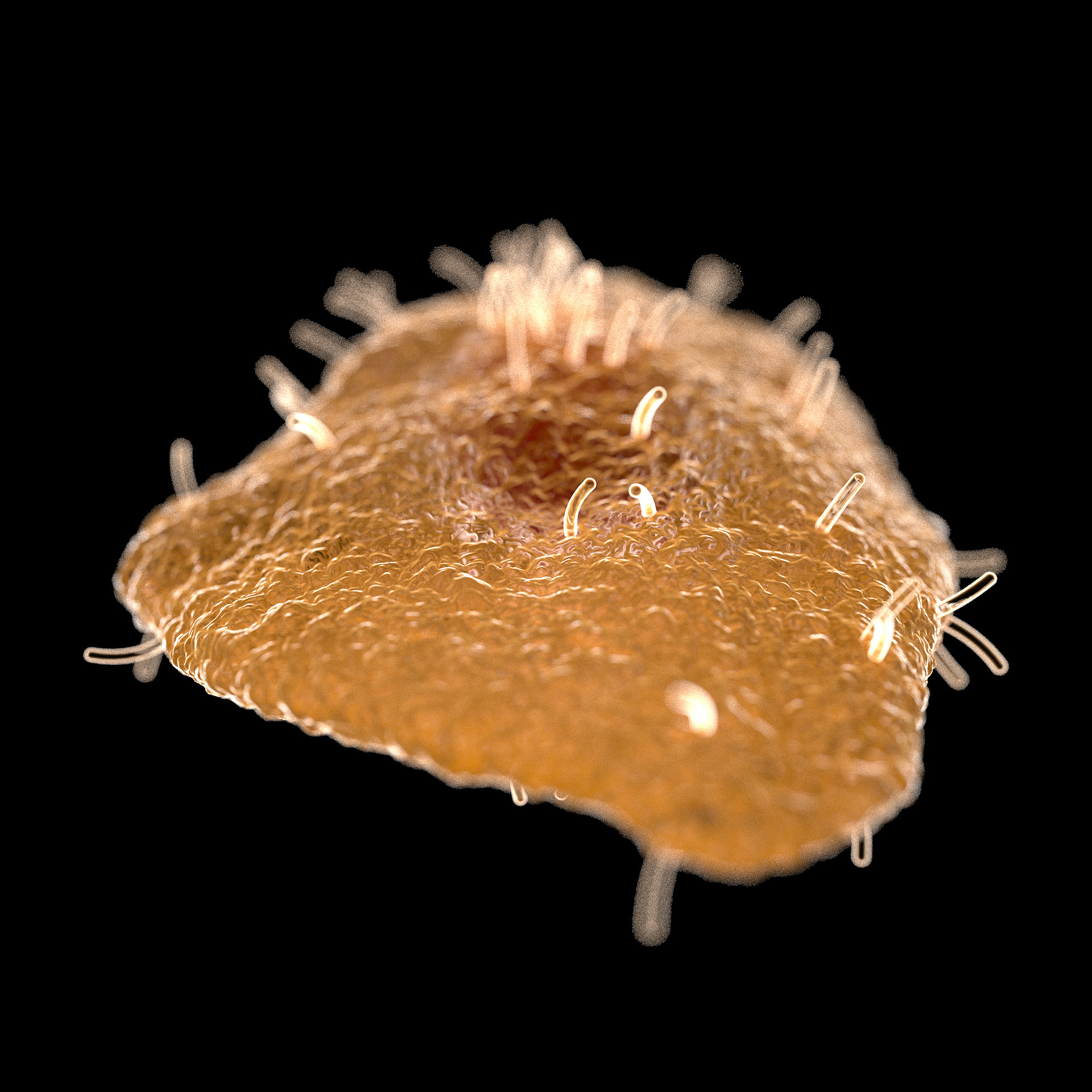 75 microbes micro bacteria cells model - TurboSquid 1626064