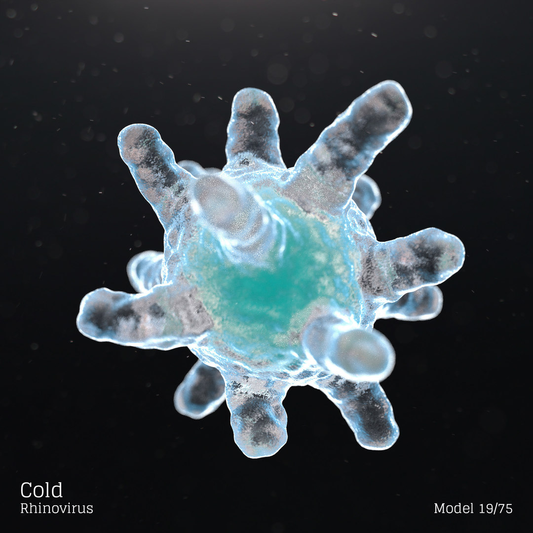 3D model microbes bacteria cells - TurboSquid 1626092