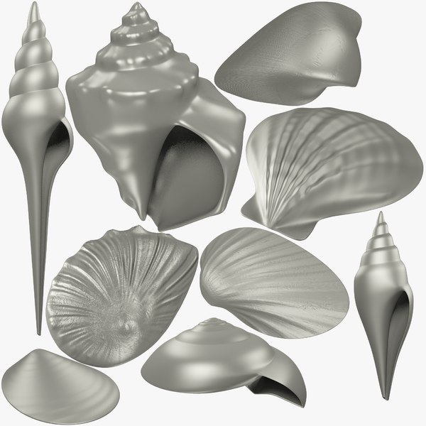 Seashell 3D Models for Download | TurboSquid