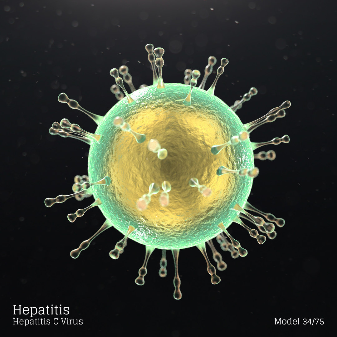 Hepatitis - Hepatitis C Virus Modelo 3D - TurboSquid 1626186