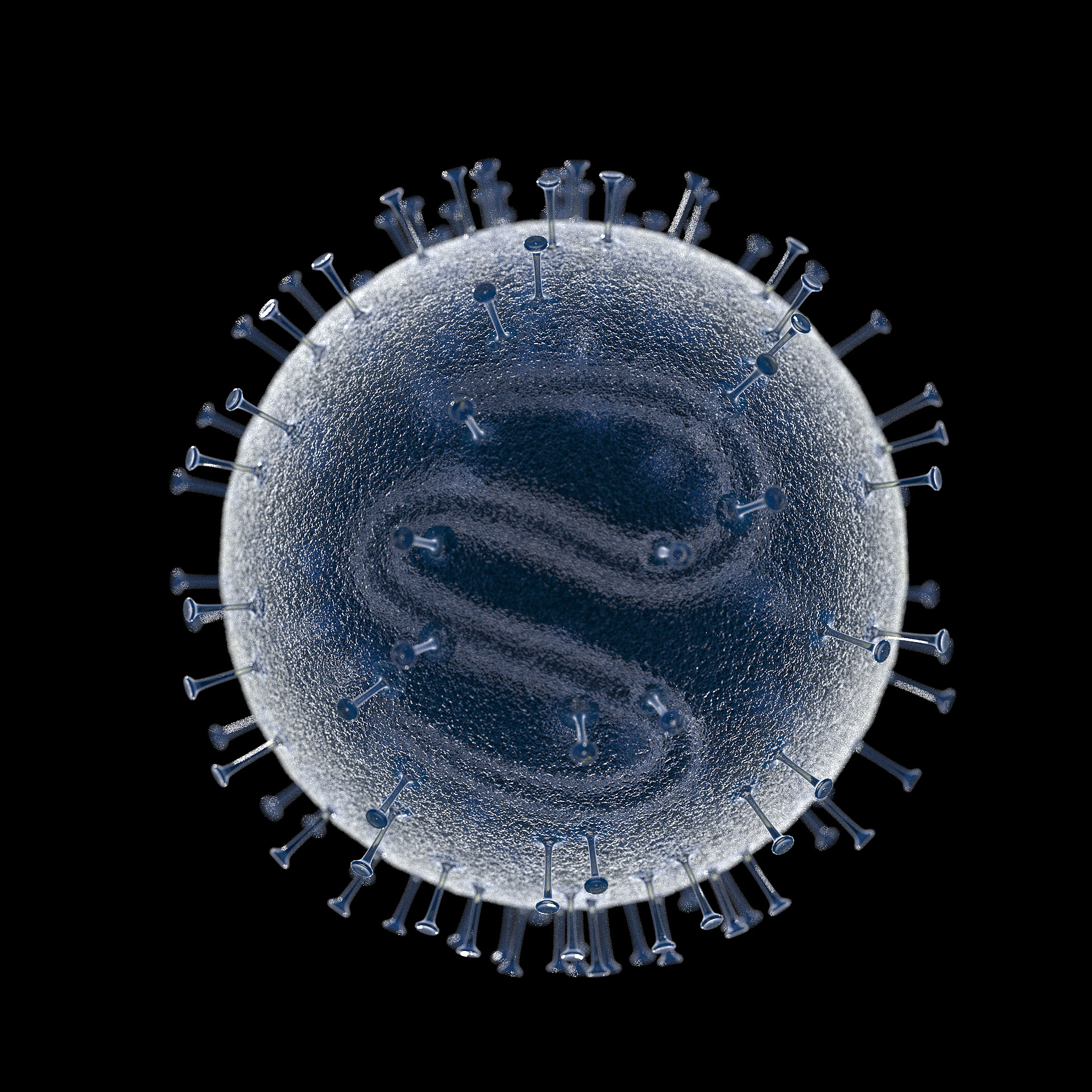 Sarampo - Morbillivirus Modelo 3D - TurboSquid 1626191