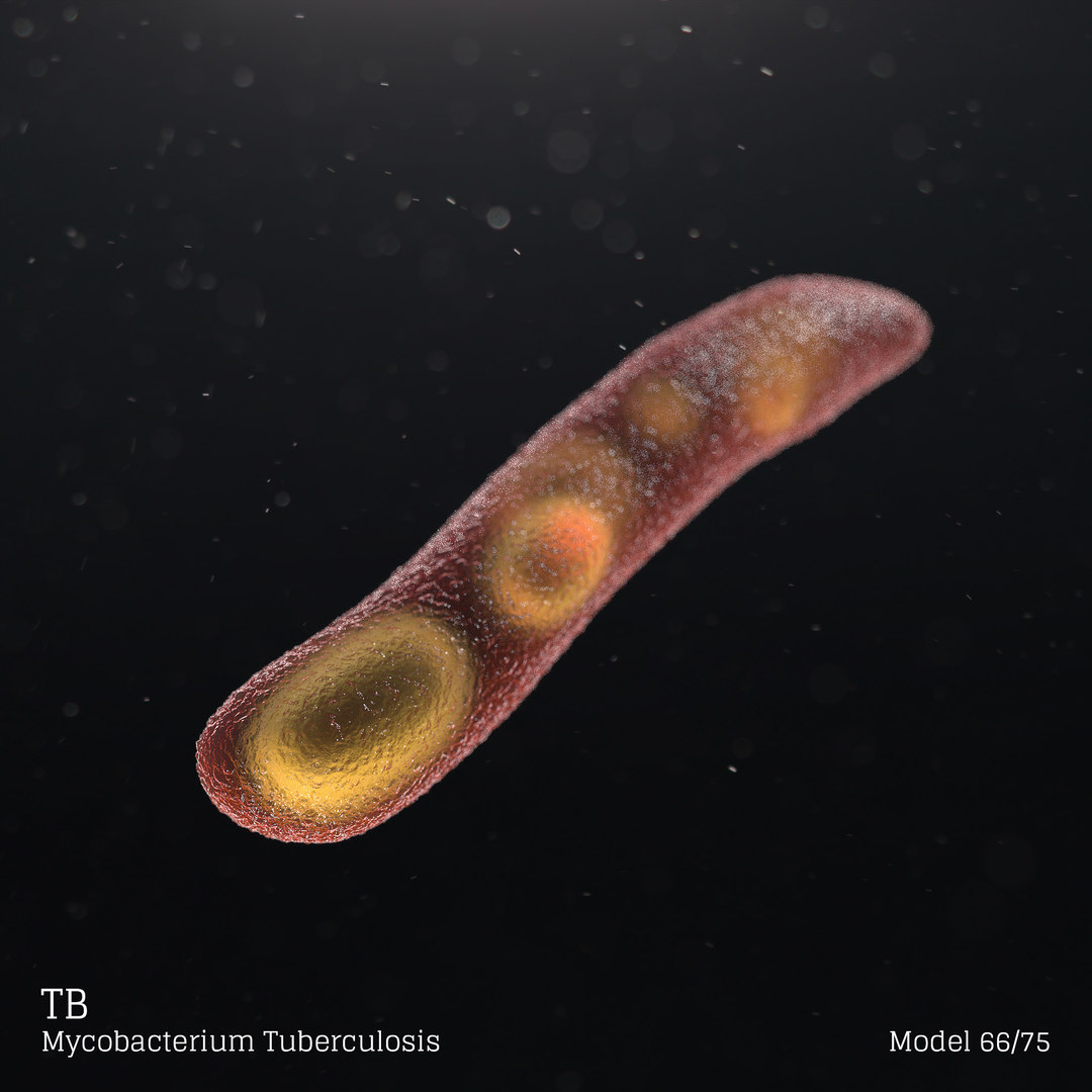 modelo 3d Tb - Mycobacterium tuberculosis - TurboSquid 1626208