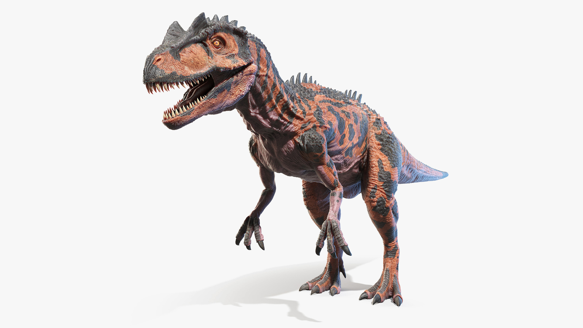 Allosaurus 3D model - TurboSquid 1630947