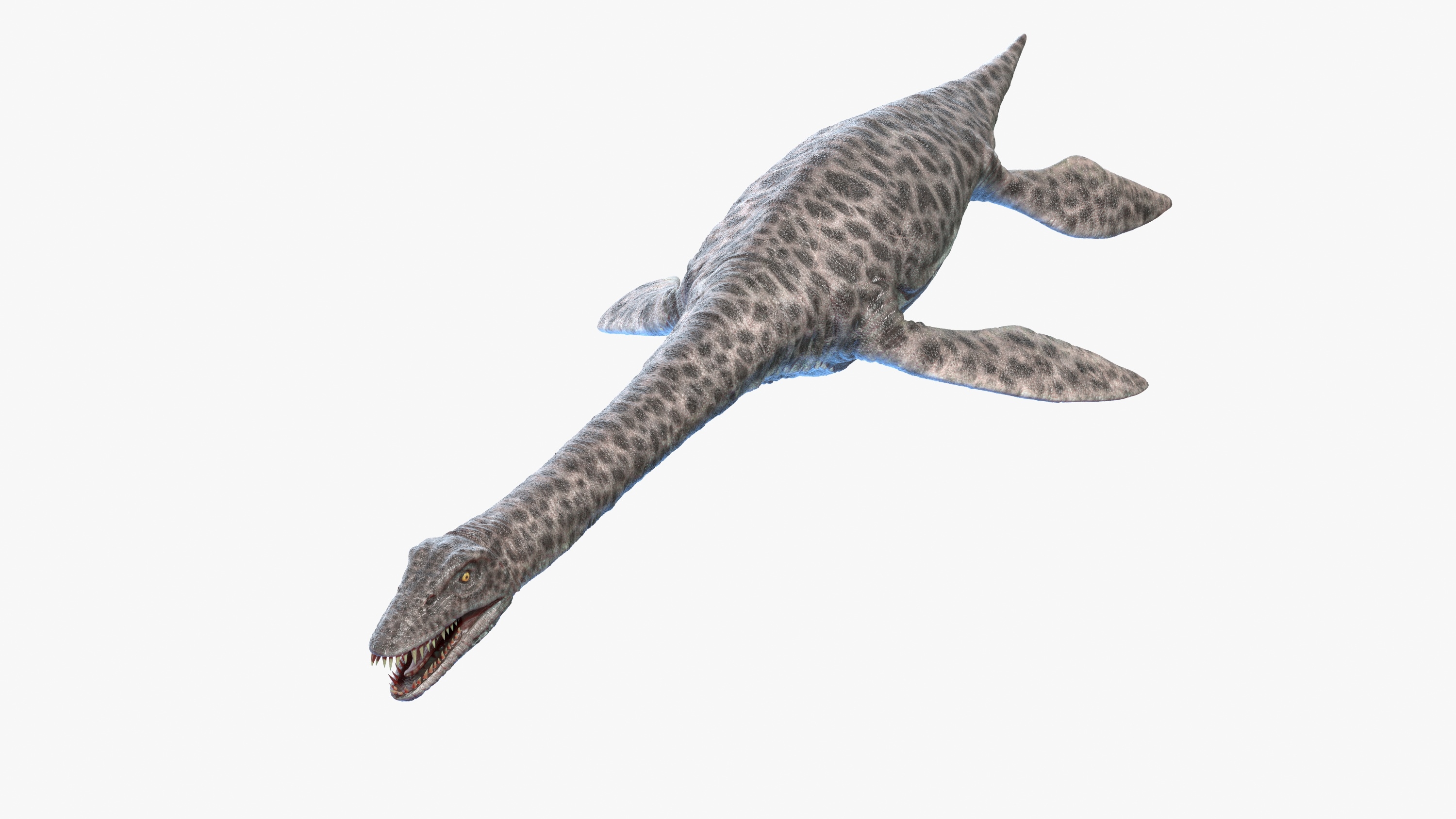 3D plesiosaurus model - TurboSquid 1630458