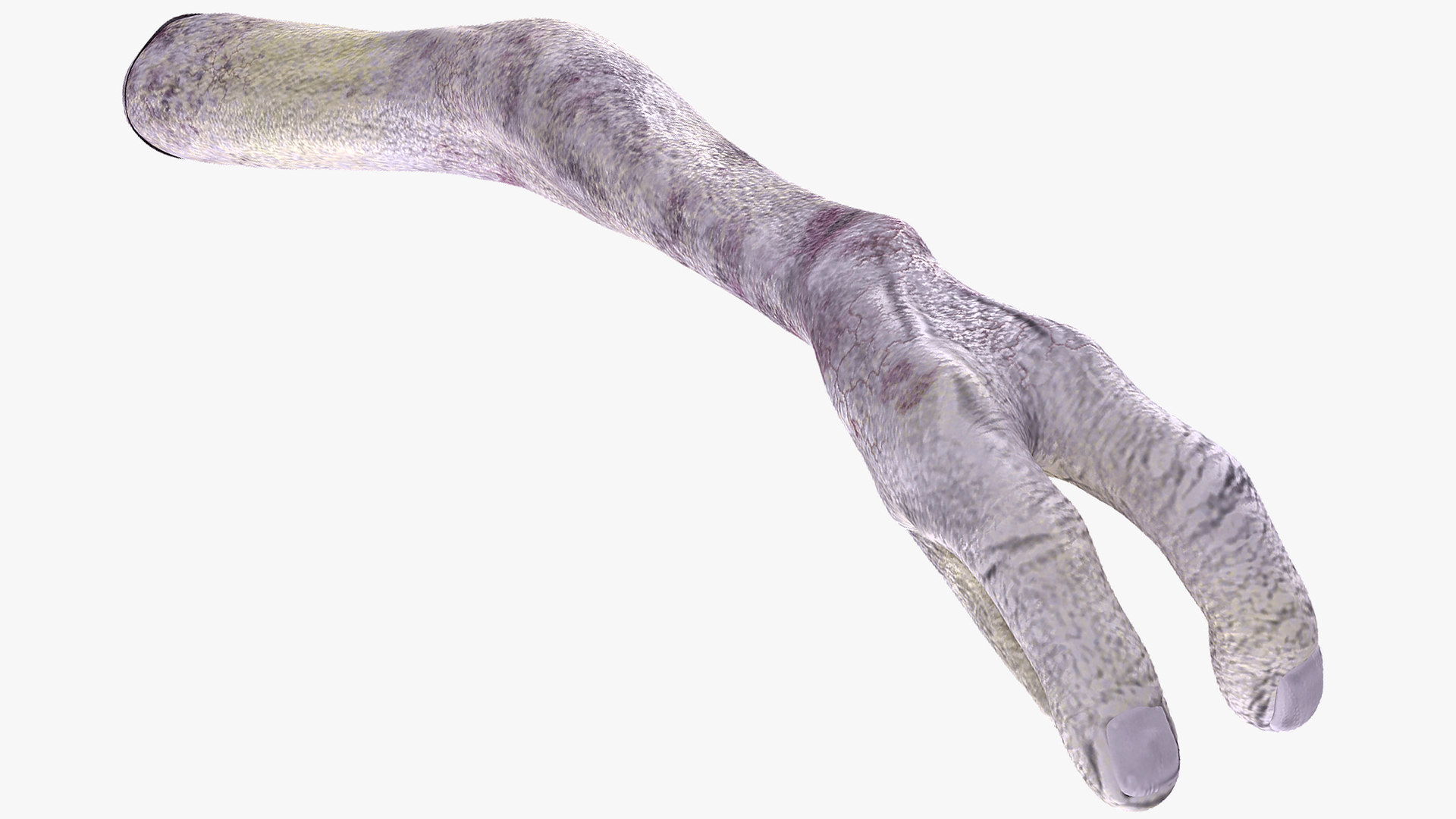 3D alien arm - TurboSquid 1631321