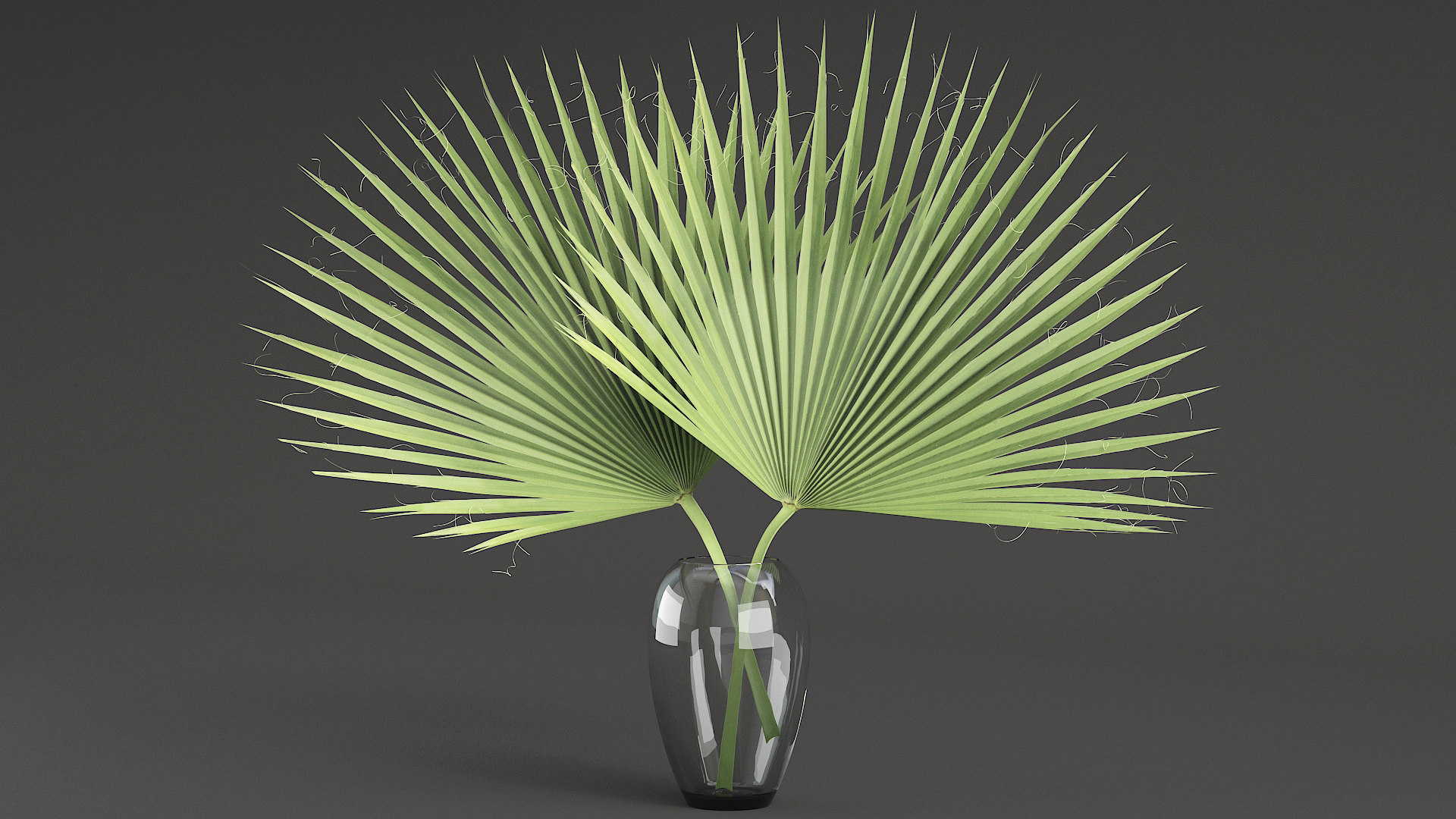 Palm leaves 3D model - TurboSquid 1631370