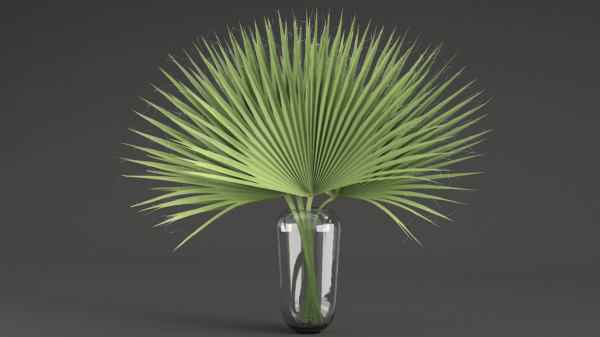 Palm leaves 3D model - TurboSquid 1631466