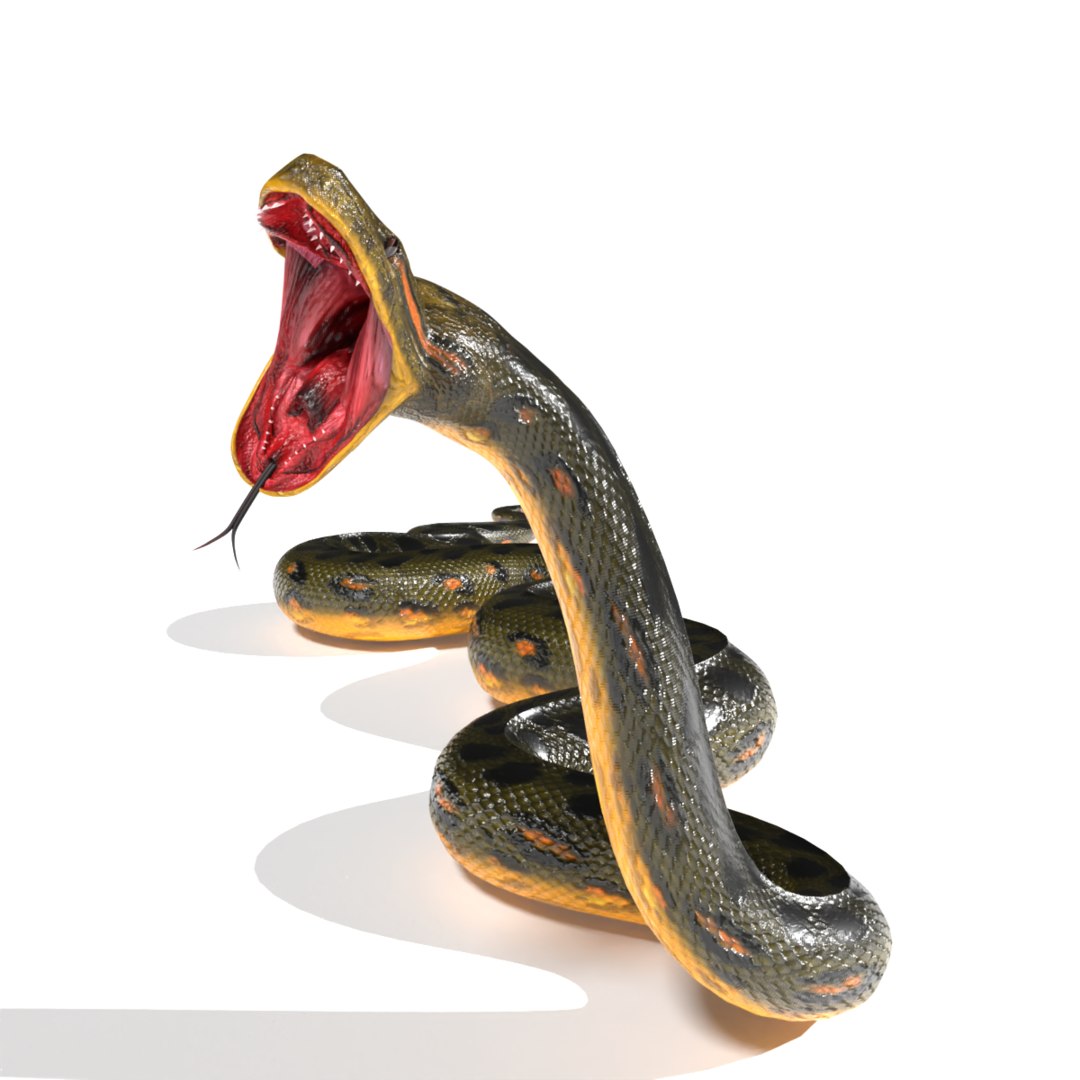 3D anaconda snake - TurboSquid 1632087