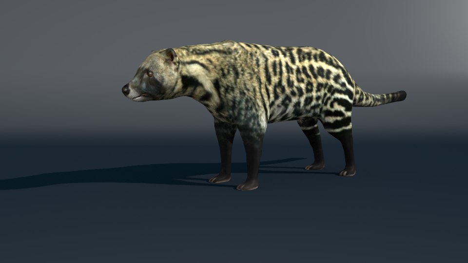 modelo 3d algalia - TurboSquid 1633163