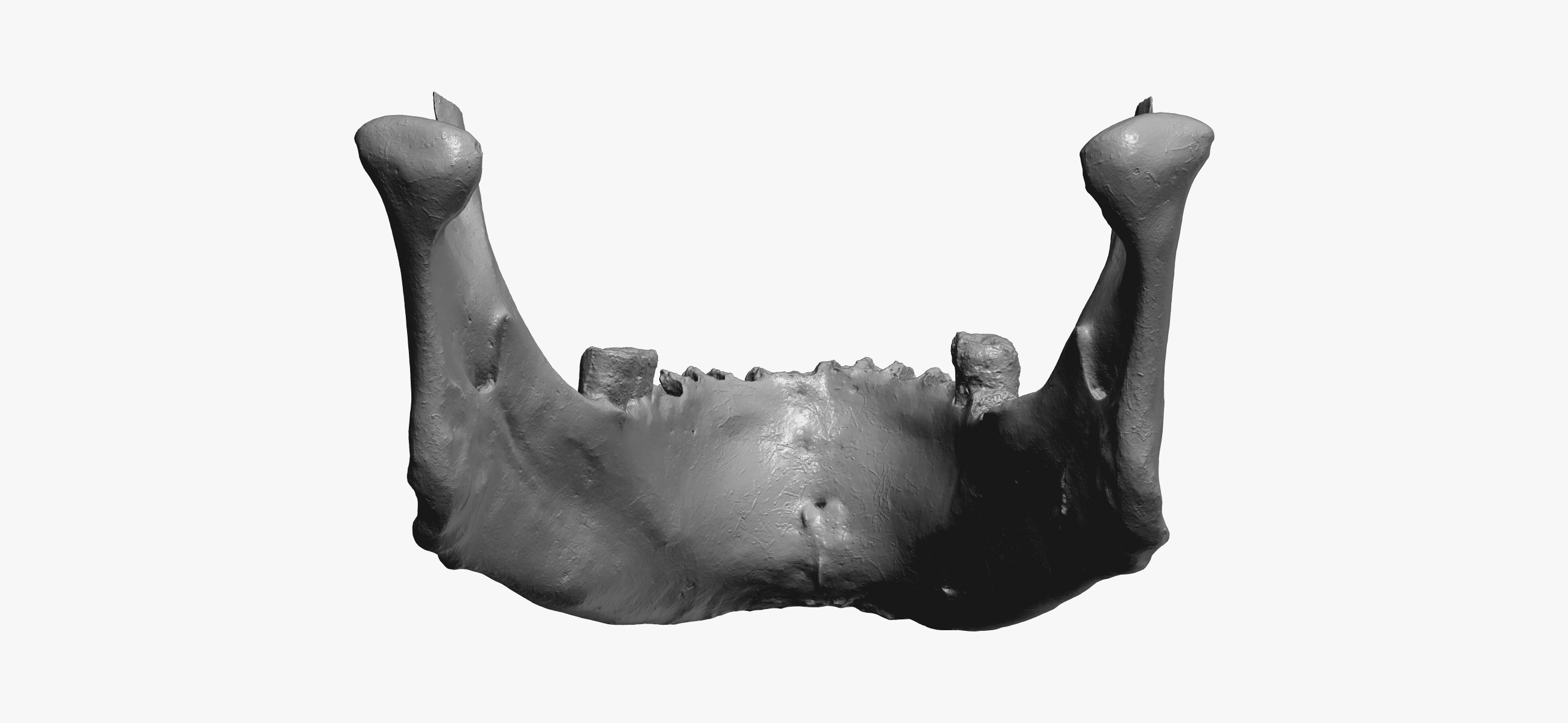 Real Human Jawbone Mandible 02 RAW SCAN 3D-Modell - TurboSquid 1550982