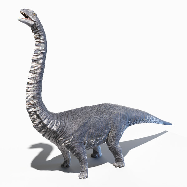 3D Sauropod Models | TurboSquid