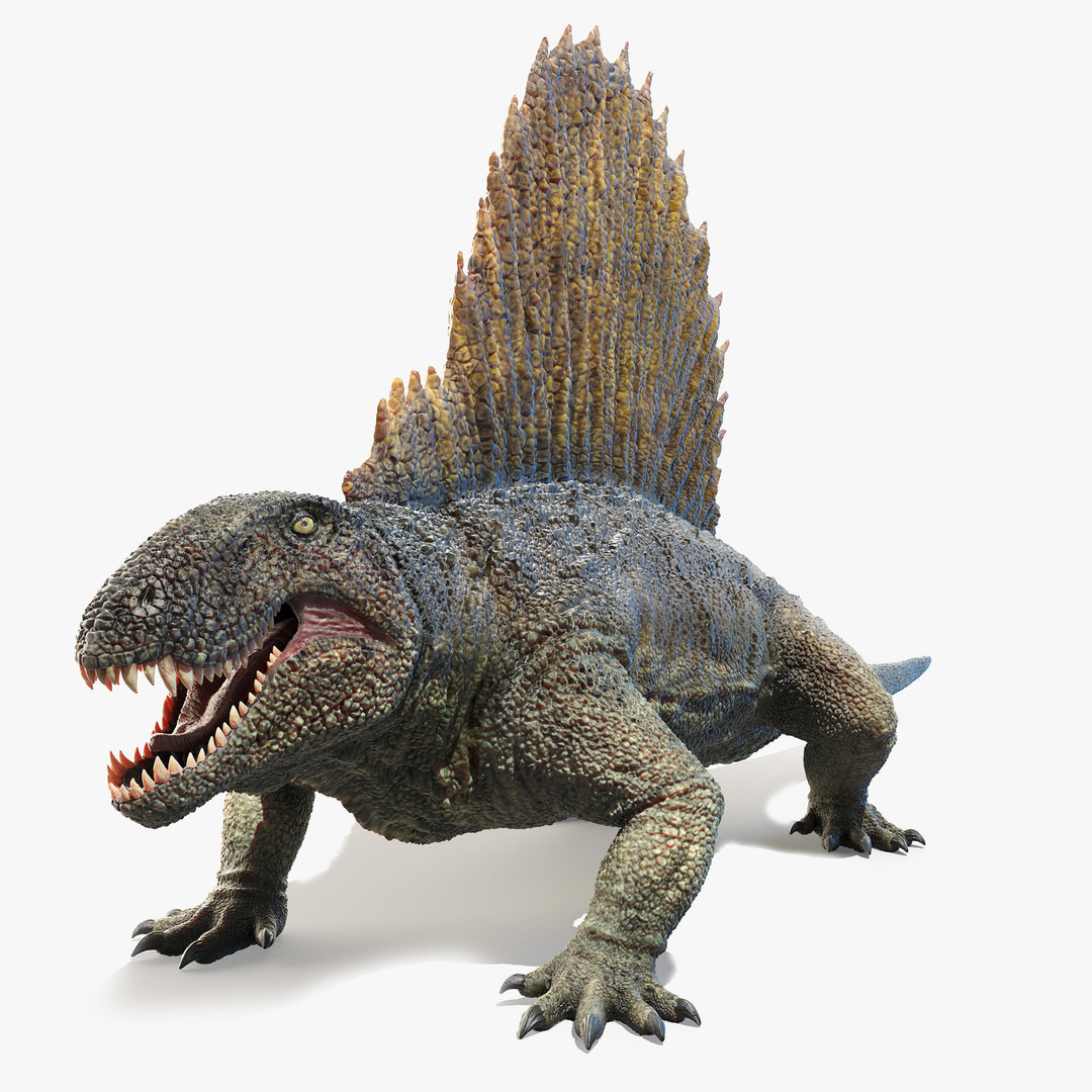 3D dimetrodon - TurboSquid 1631531