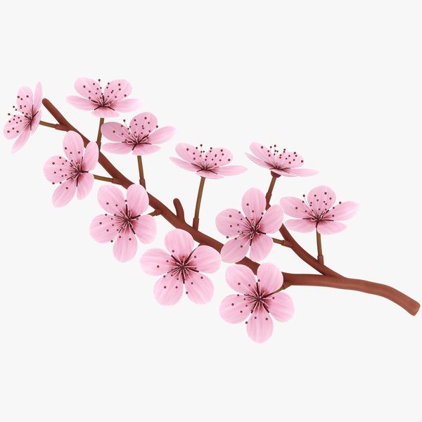 Cherry Tree 3D Models for Download | TurboSquid