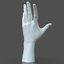 3D hand casual woman f1p3d1v1hand model - TurboSquid 1636330