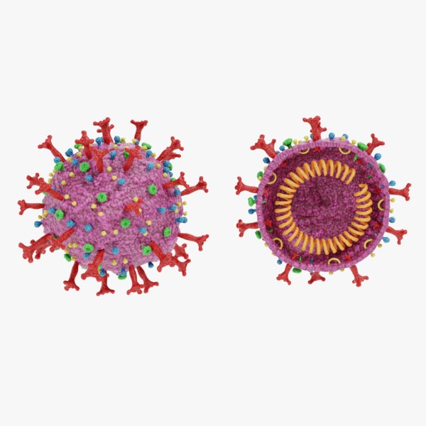 3D Virus Models | TurboSquid