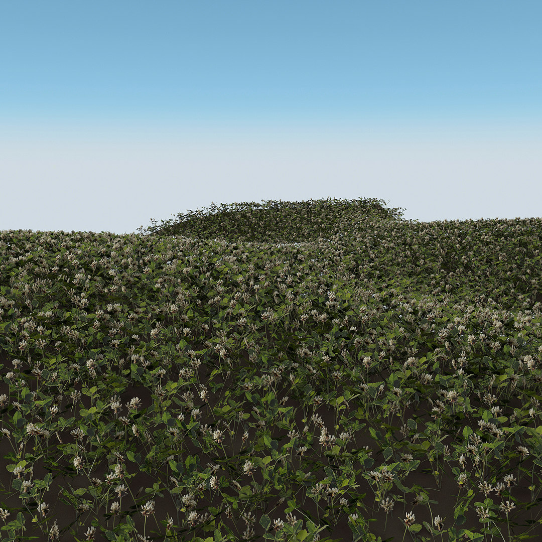 3D clover - TurboSquid 1637415