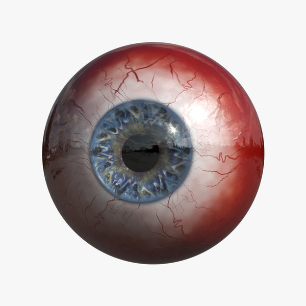 Free 3D Eye Models | TurboSquid