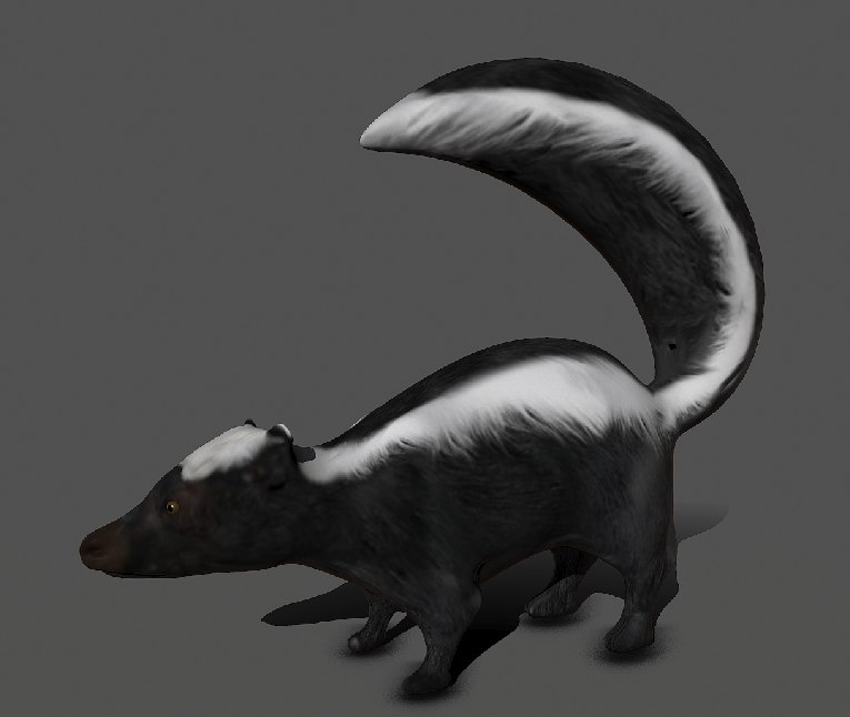 Skunk 3D model - TurboSquid 1638267