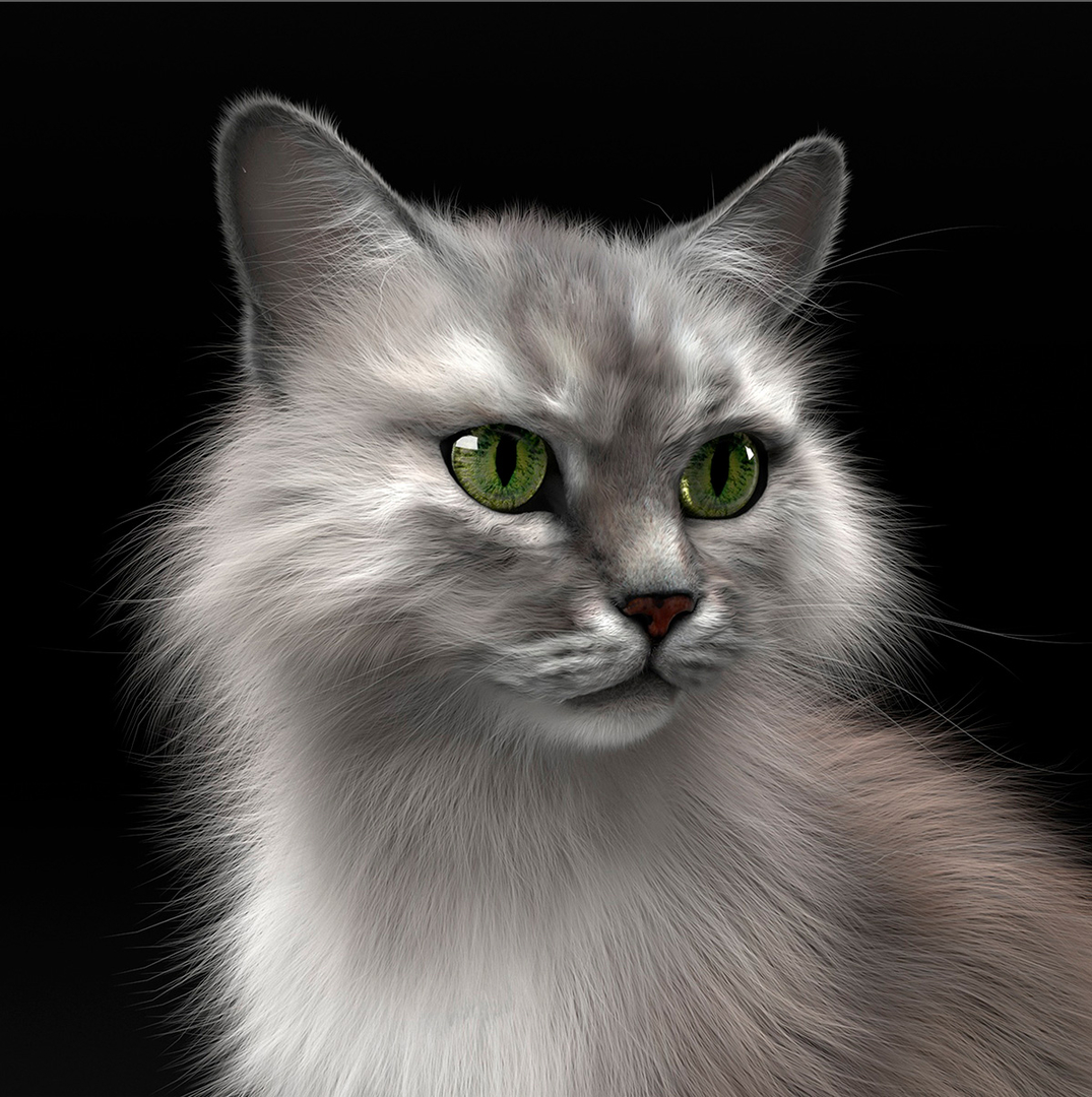 3D realistic cat - - TurboSquid 1638411
