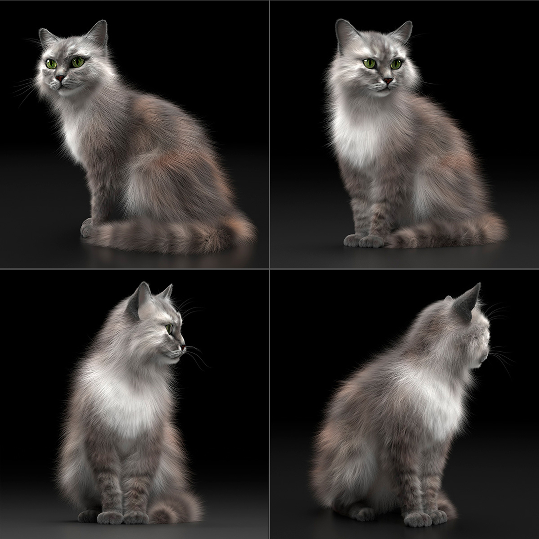 3D realistic cat - - TurboSquid 1638411