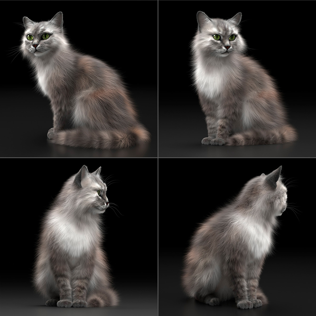 3D realistic cat - - TurboSquid 1638411