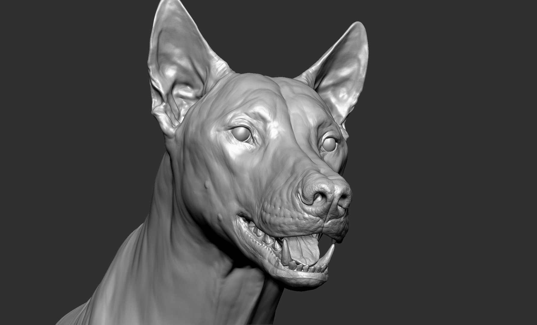 3D wolf zbrush - TurboSquid 1639576