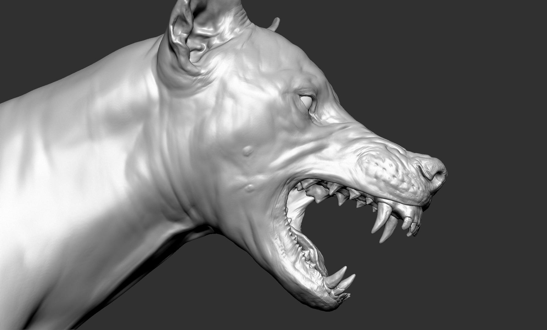 3D wolf zbrush - TurboSquid 1639576