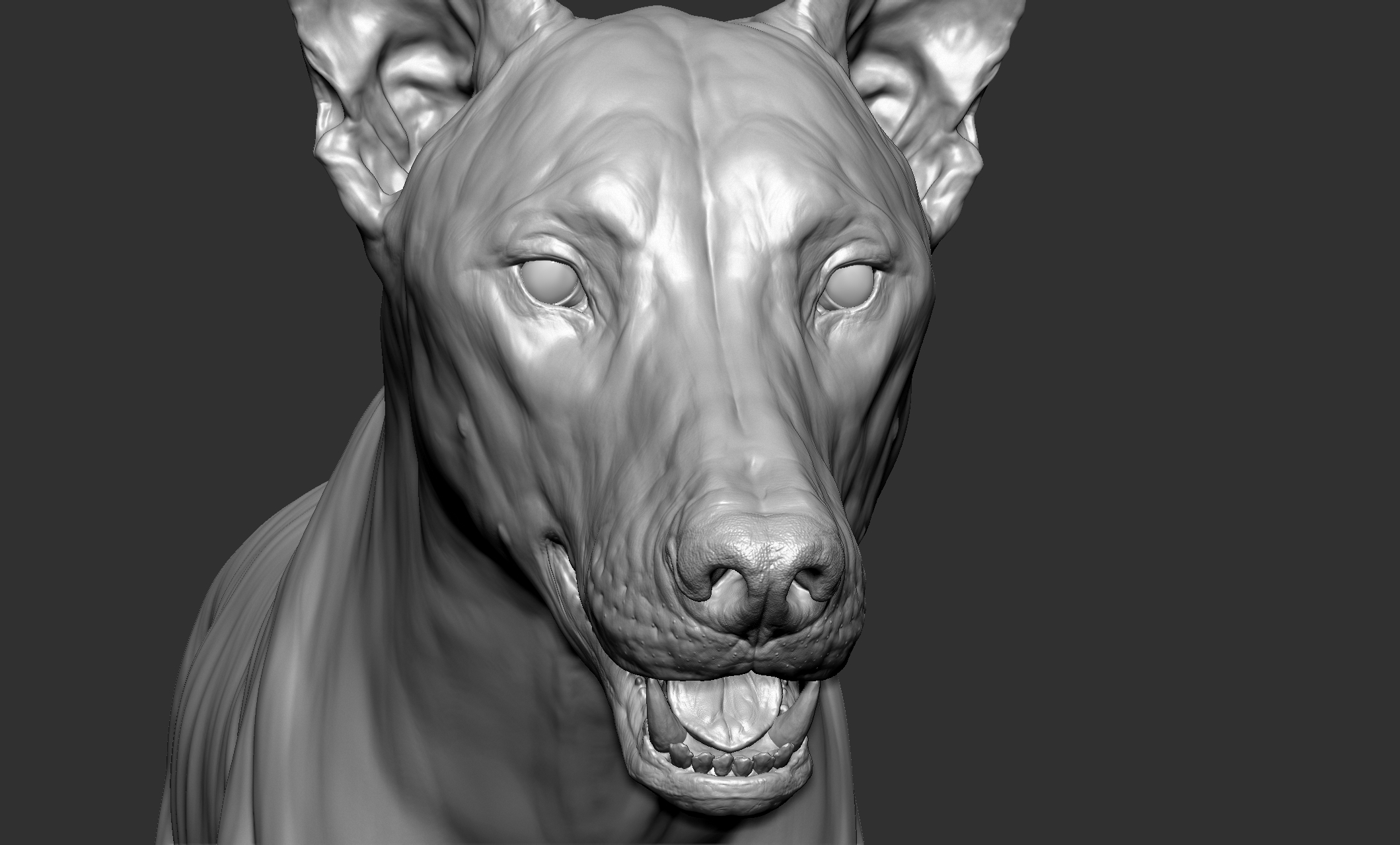 3D wolf zbrush - TurboSquid 1639576