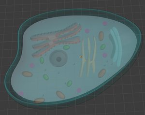 Animal Cell 3D Models for Download | TurboSquid