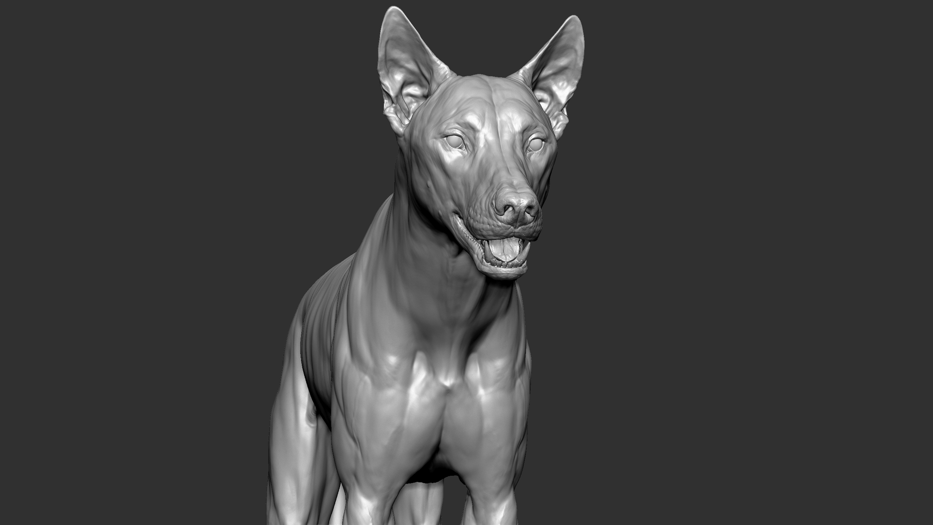 3D wolf zbrush - TurboSquid 1639576