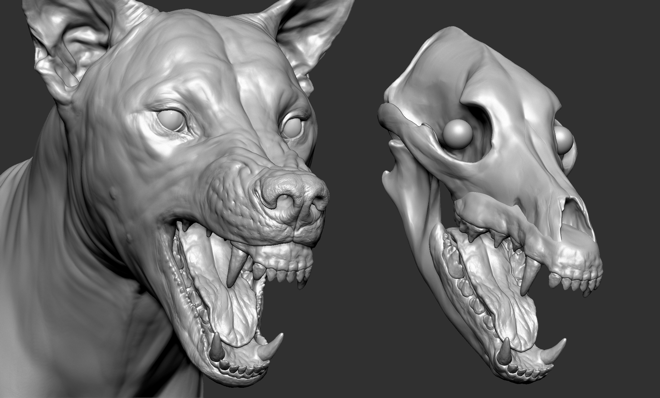 3D wolf zbrush - TurboSquid 1639576