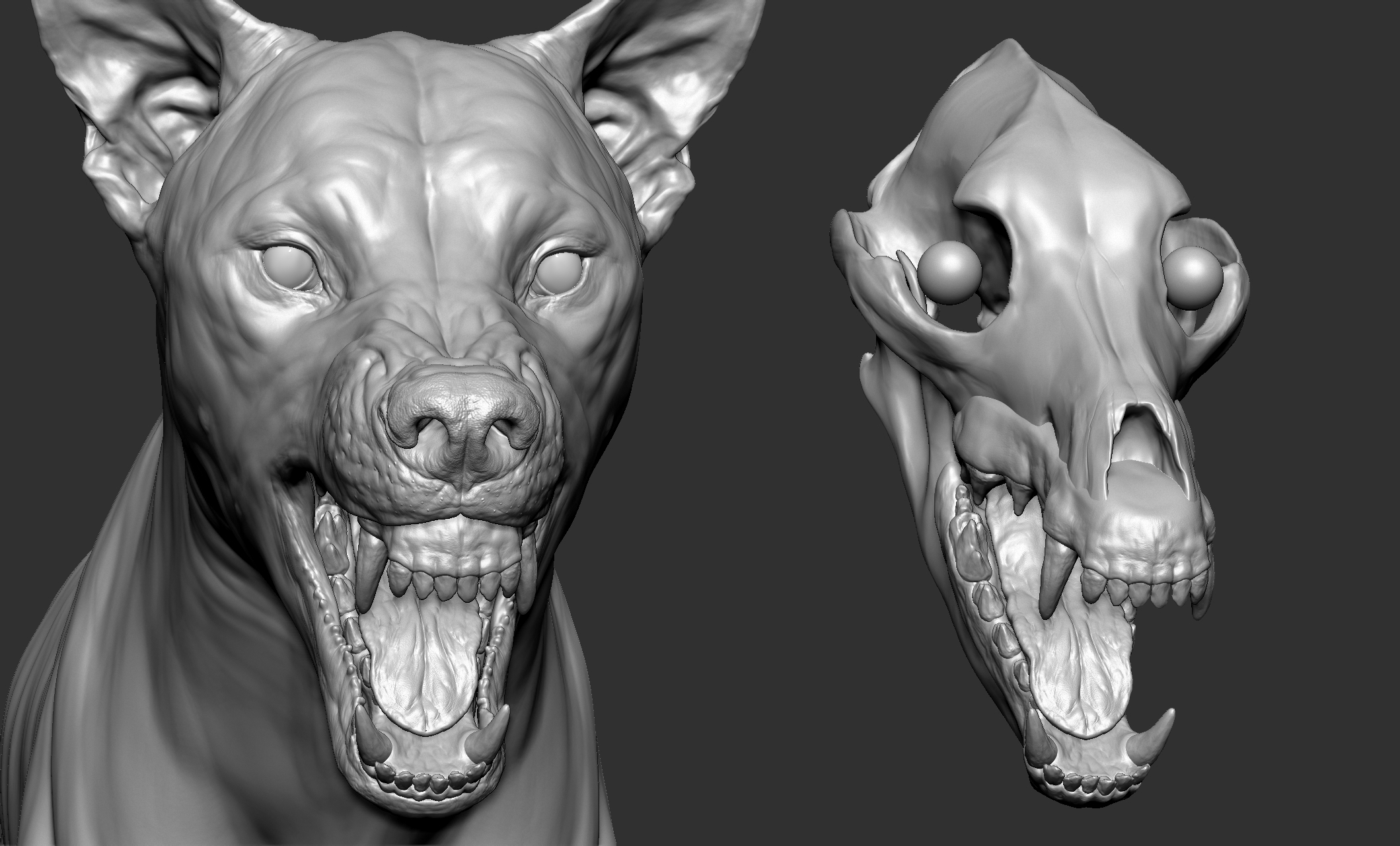 3D wolf zbrush - TurboSquid 1639576