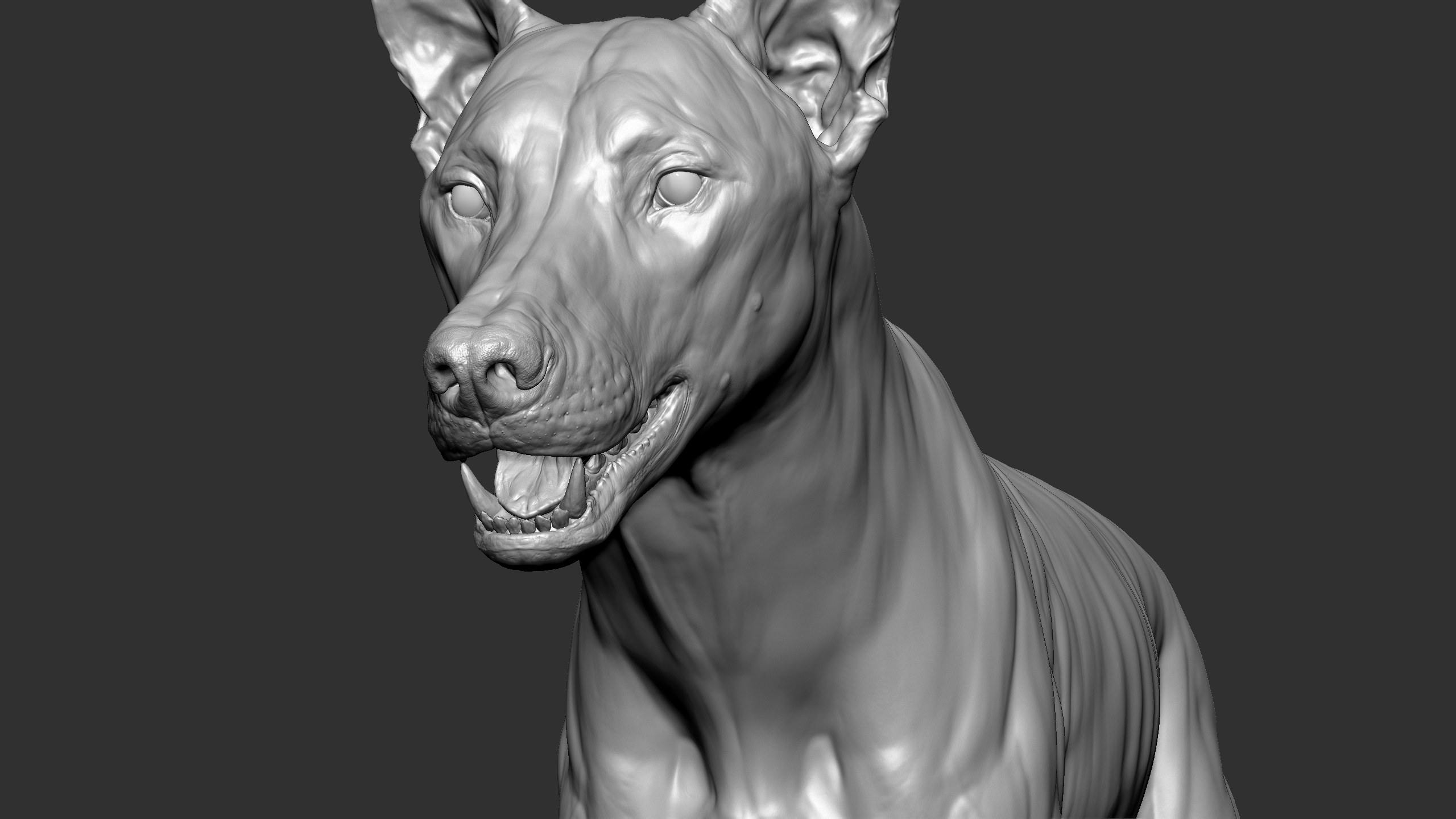 3D wolf zbrush - TurboSquid 1639576