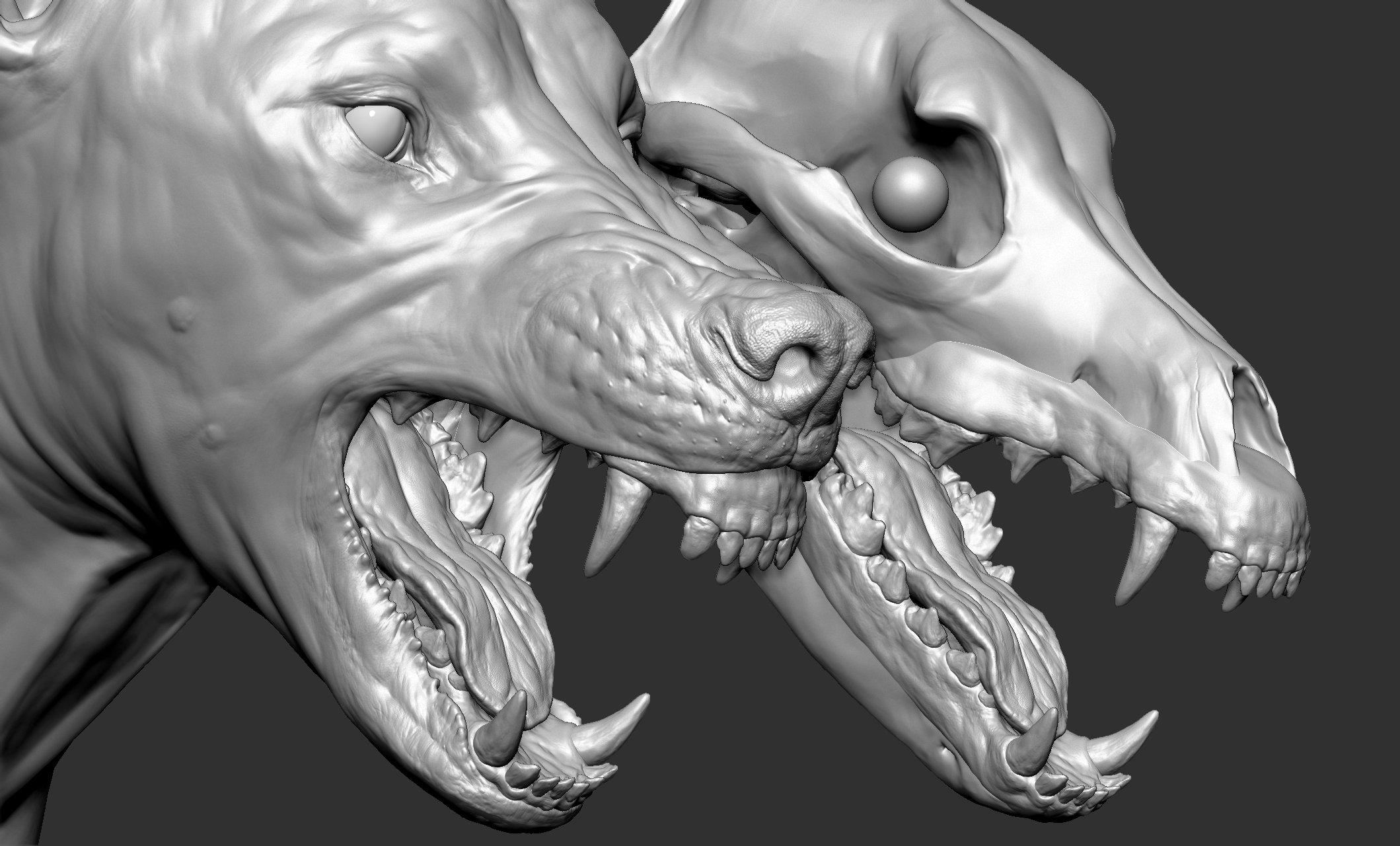3D wolf zbrush - TurboSquid 1639576