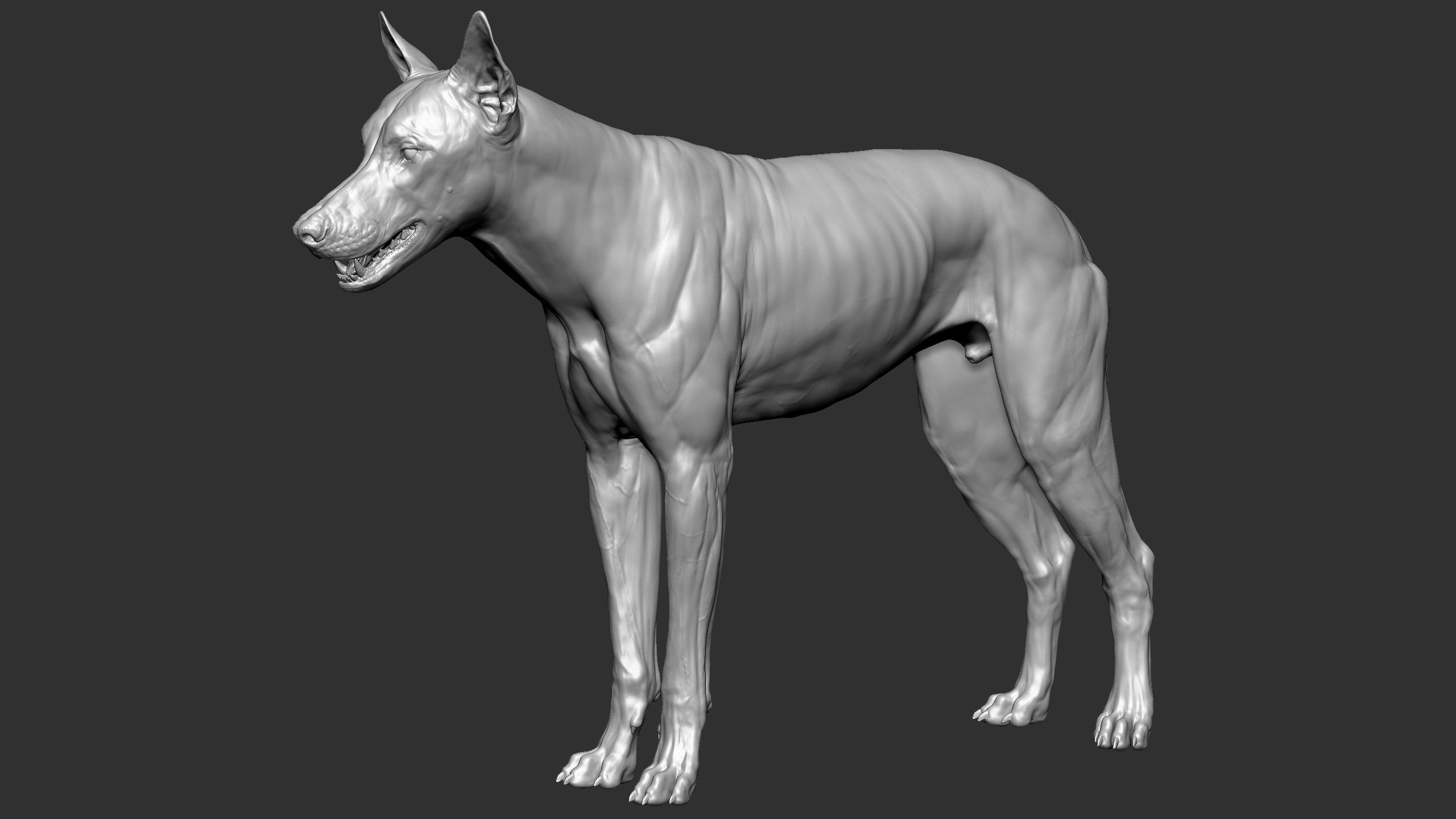 3D wolf zbrush - TurboSquid 1639576