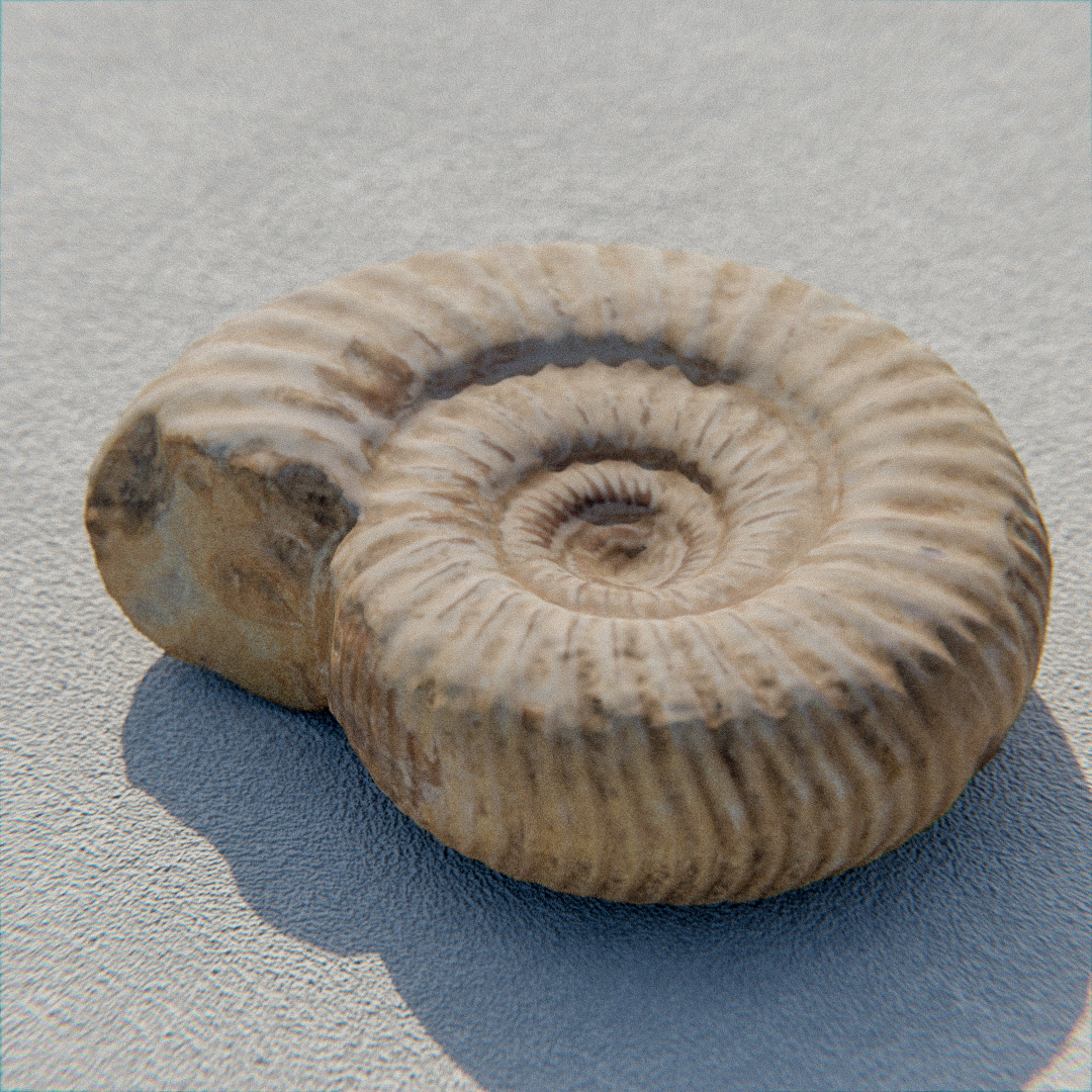 3D model scan amonite fossil - TurboSquid 1641310