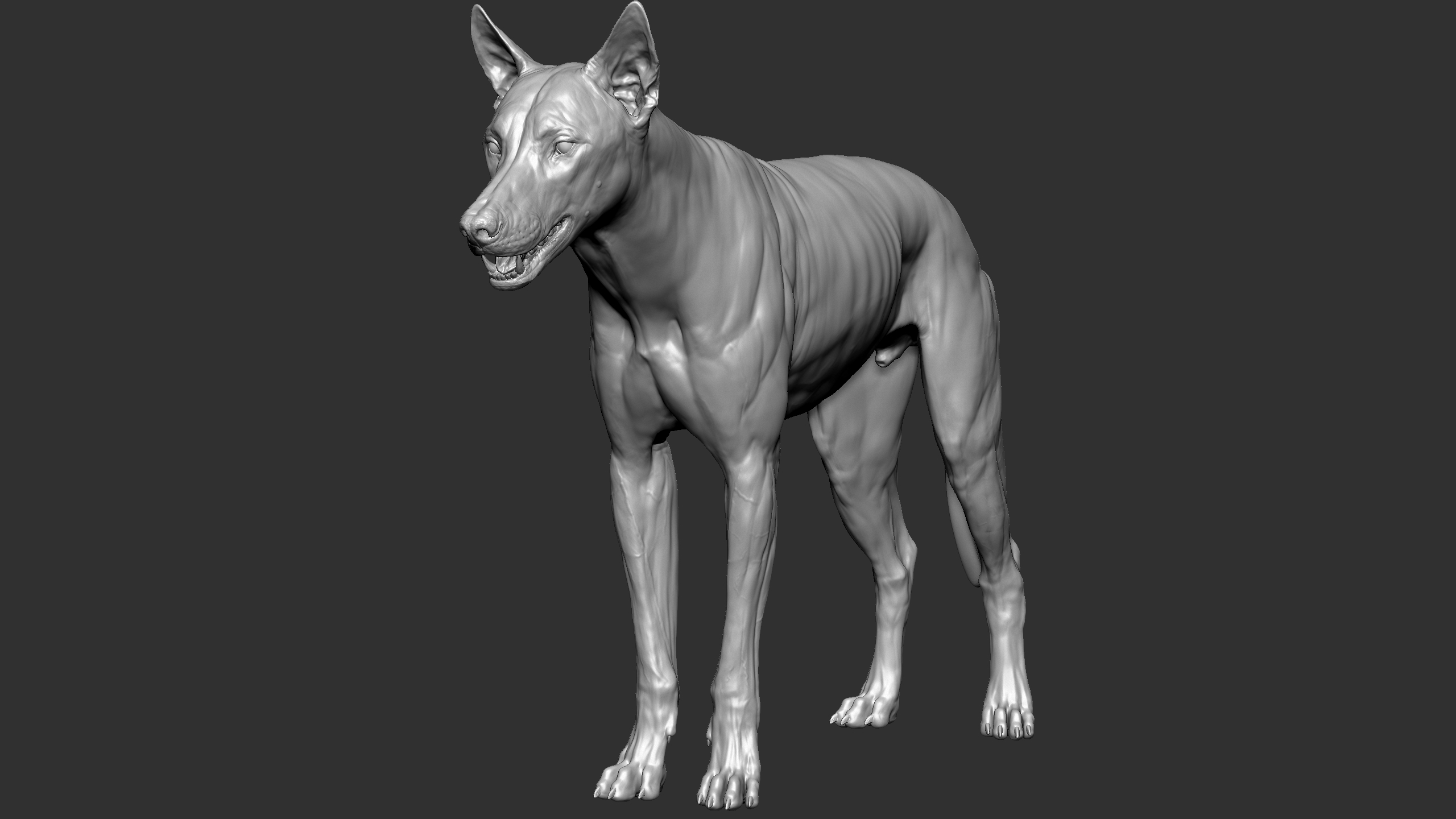 3D wolf zbrush - TurboSquid 1635785