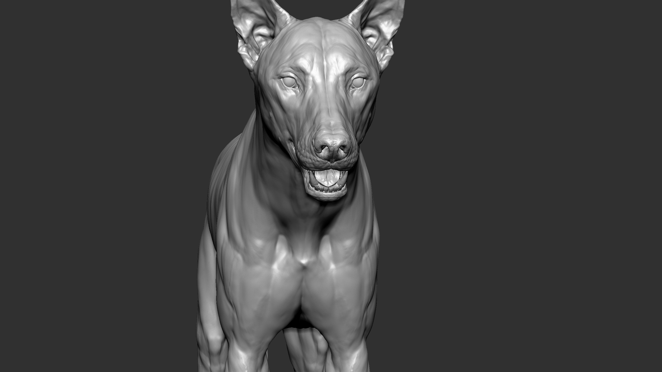 3D wolf zbrush - TurboSquid 1635785