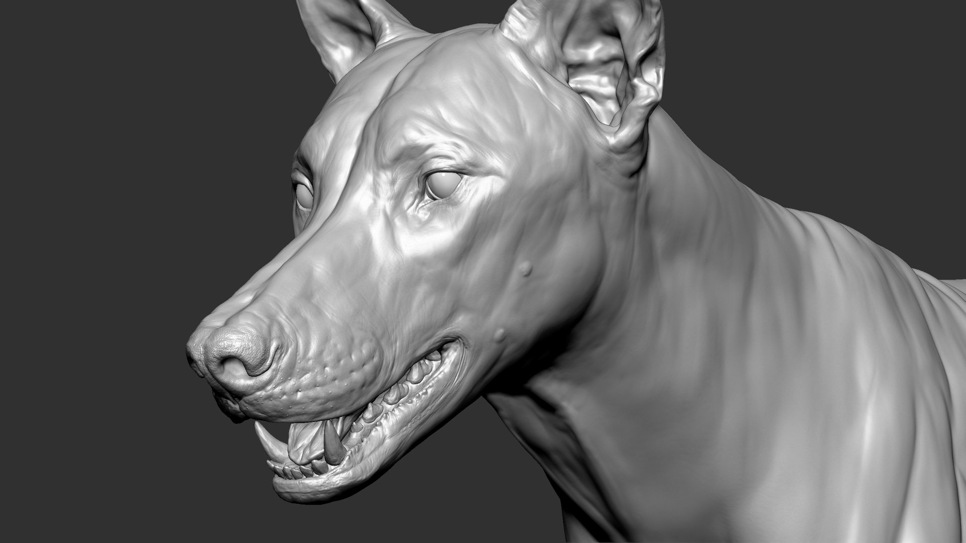 3D wolf zbrush - TurboSquid 1635785