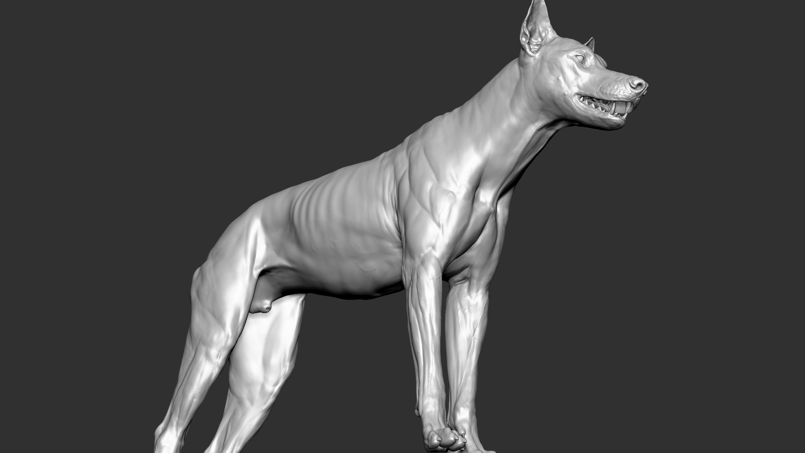 3D wolf zbrush - TurboSquid 1635785