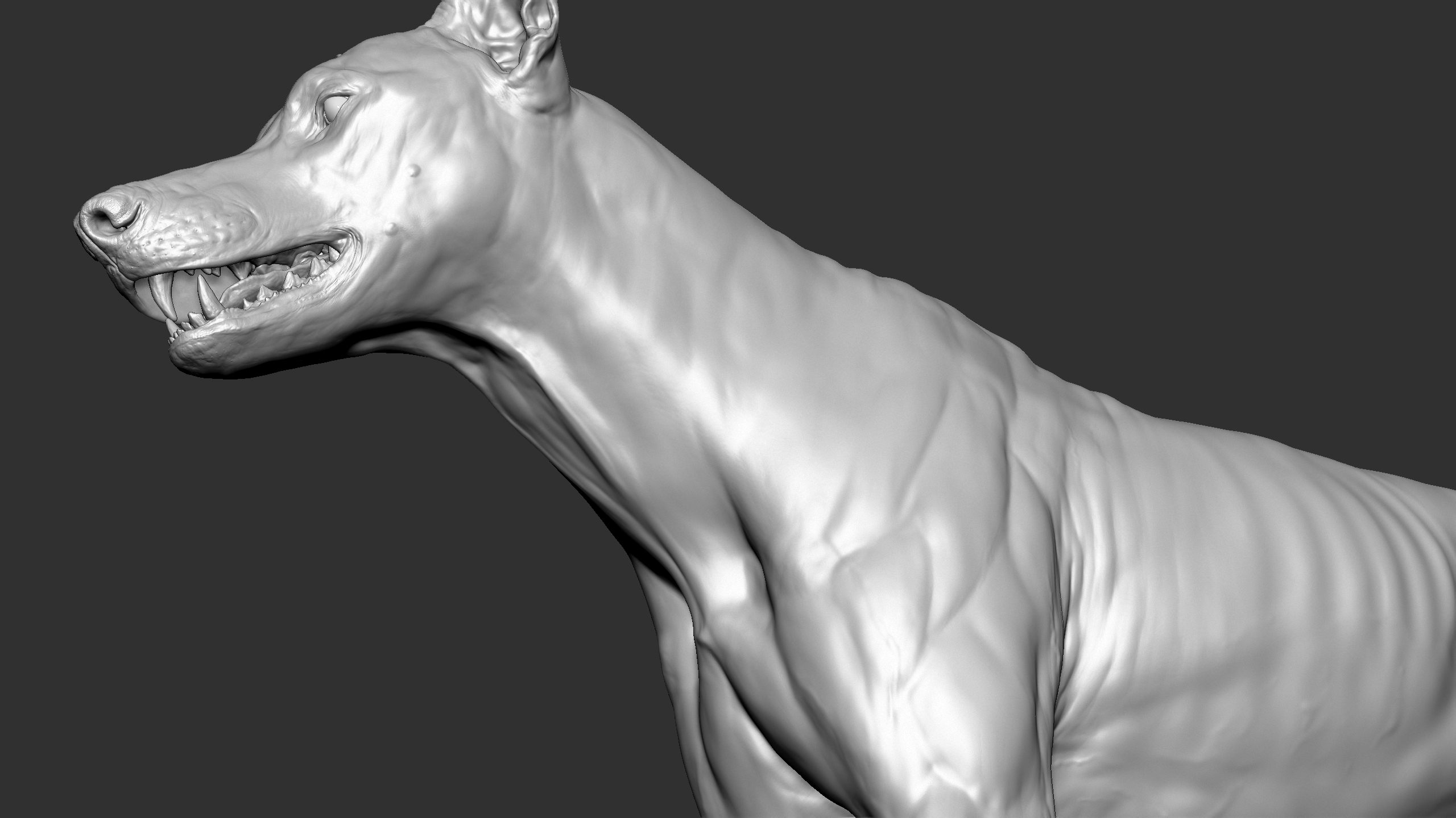 3D wolf zbrush - TurboSquid 1635785