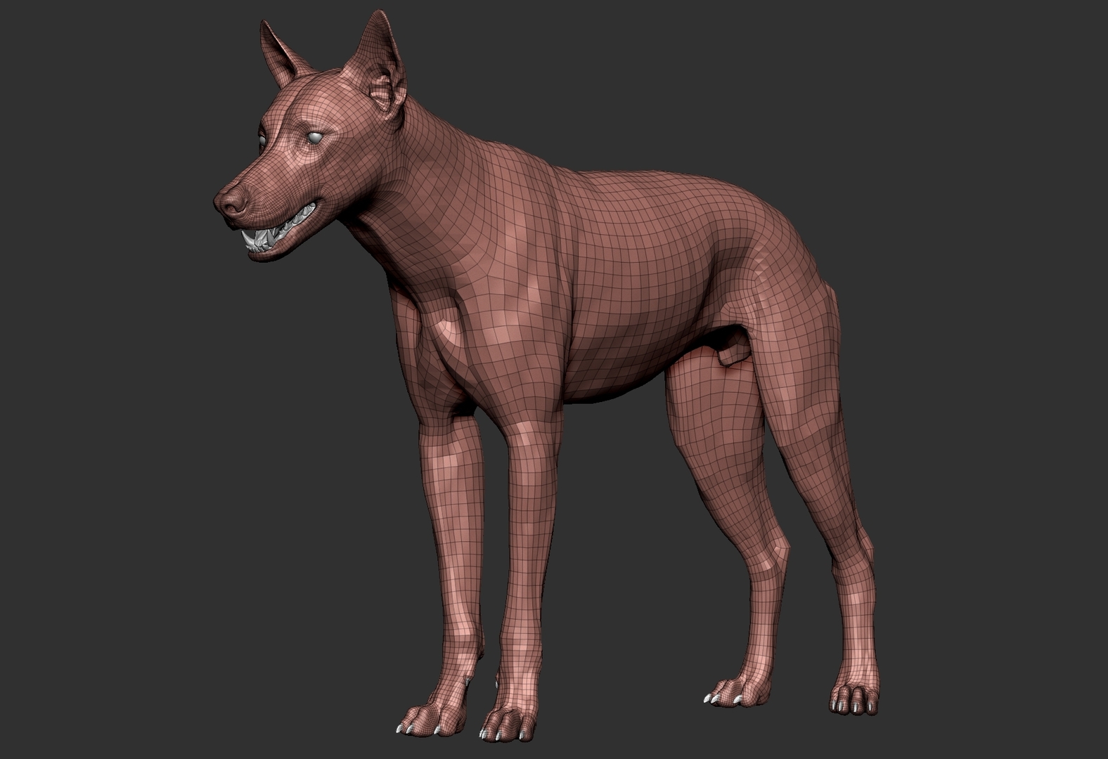 3D wolf zbrush - TurboSquid 1635785